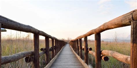 Defining Infinite Structures In Haskell Dev Community