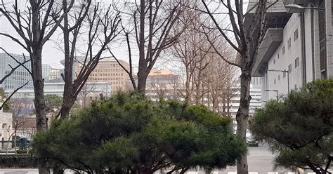 정해영의 블로그 Jeong Haeyoungs Blog 광화문 시절은 저물어 가고