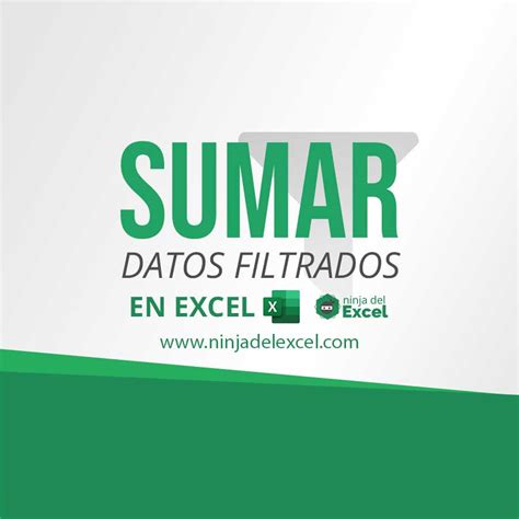 Sumar Datos Filtrados En Excel Función De Subtotales Ninja Del Excel