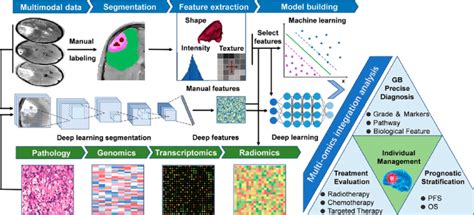 Neurooncology Radiomics Study Workflow 1 Multimodal Imaging And