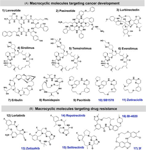 Applications Of Macrocyclic Molecules In Cancer Therapy Target Cancer