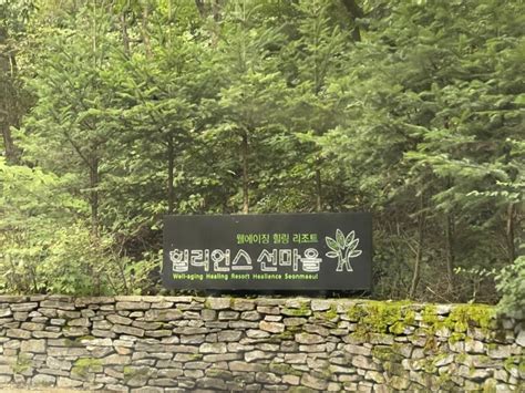 강원도 홍천 힐리언스 선마을 국내 힐링여행 디지털 디톡스가 필요할 때 딱 좋아숲속동 후기 네이버 블로그