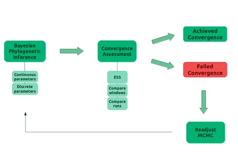 Revbayes Convergence Assessment