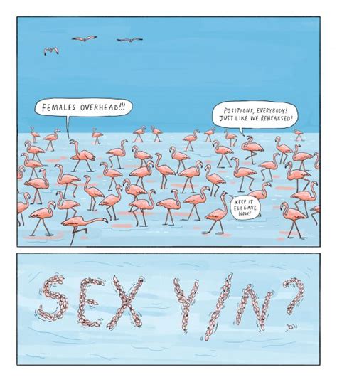 Issue 185 Jan Feb 2024 Archives New Zealand Geographic