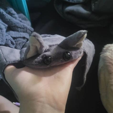 Made To Order Jumbo Flat Bat Completely Unstuffed Not Microwaveable Etsy