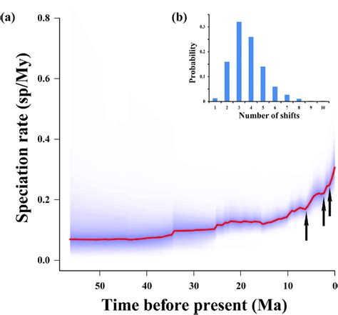 Visualizations Of Diversification Rate Shifts Within Anseriformes A