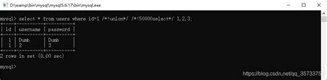 7 Web安全——sql注入waf绕过之注释符号sqlselect From Users Where Idid Limit