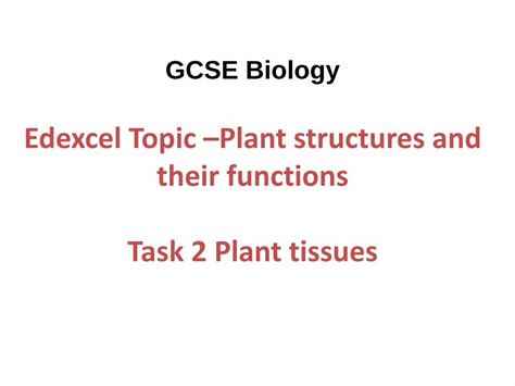 pdf edexcel topic plant structures and their functions task 2