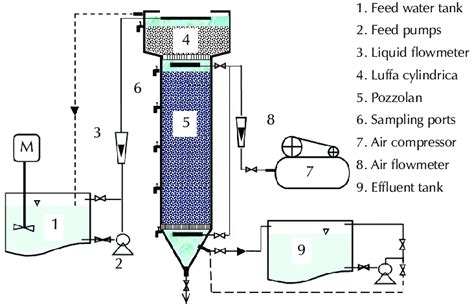 Schematic Of Biofiltration Pilot Download Scientific Diagram