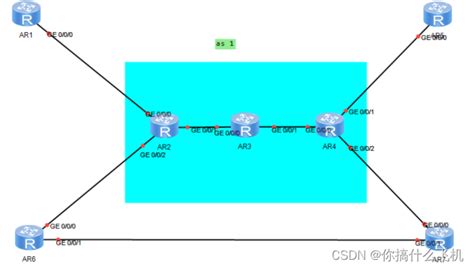 mpls实验 mpls 当route type字段的值为5时 area id 字段的值为0 0 0 0 csdn博客