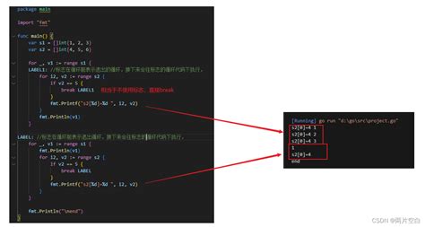 go语言流程控制 go if多条件 csdn博客
