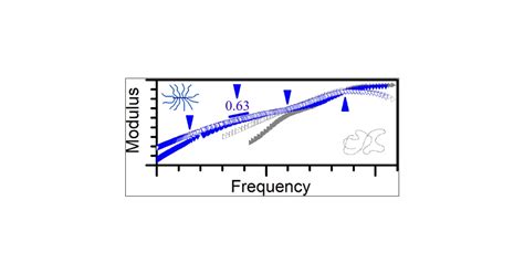 Linear Viscoelastic Response Of Unentangled Polystyrene Bottlebrushes Macromolecules