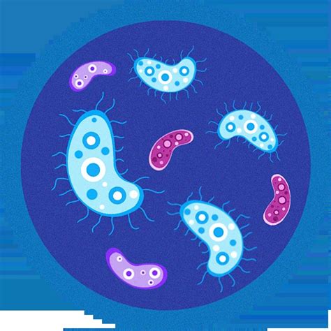 红眼病结膜炎病菌病毒医生红眼病男孩 2 花瓣网