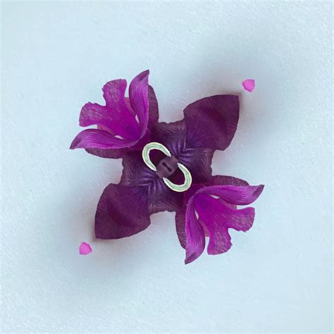 Sam Cooper Free Music On Toneden