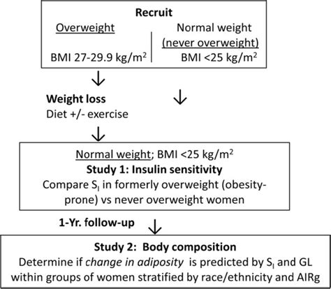 Schematic Of Experimental Design For The Two Weight Loss Intervention