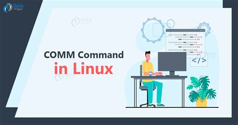Comm Command In Linux Dataflair