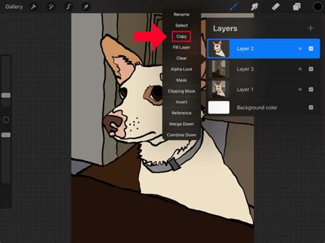 How To Copy And Paste In Procreate Canvas Layers And Selections Logos By Nick