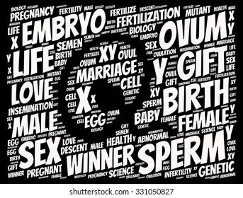 Illustration Sex Education Concept Modern Word Stock Illustration 331050827 Shutterstock