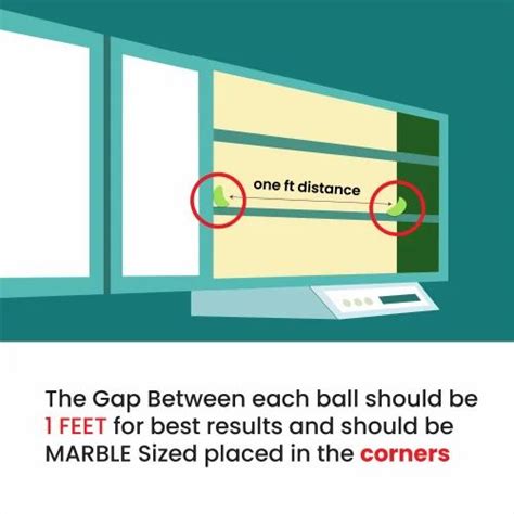 Completely Non Toxic Paste No Entry Cockroach Control At Rs 38 In Bengaluru