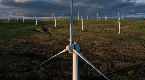 Их Британид анх удаа салхин цахилгаан станцын үйлдвэрлэсэн эрчим хүч байгалийн хийн станцаас давжээ