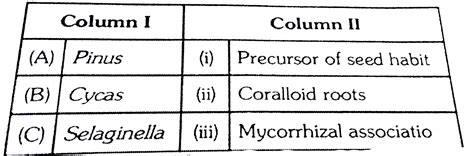 Match The Column I With Column Ii
