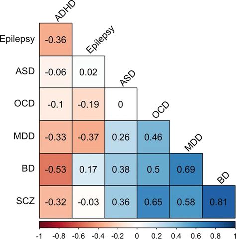 A Heatmap Of The Cross Disorder Pairwise Smri Correlations Between Download Scientific Diagram