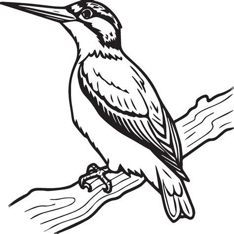 Woodpecker Coloring Pages Woodpecker Bird Outline Bird Line Art For