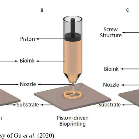 Principles Of Extrusion Based Bioprinting Download Scientific Diagram