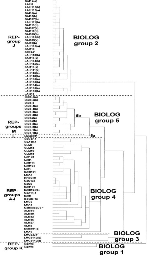 Hierarchical Cluster Analysis Of Biolog Gn Substrate Utilization