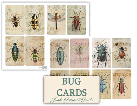 Bug Journal Cards Junk Journal Collage And Crafts No 856 Etsy