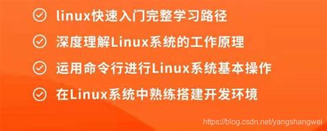Linux Raid0、raid1、raid5、raid10初探 阿里云开发者社区