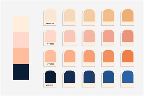 라이트 크림 오렌지 블루 색상 팔레트 차분한 색상 카탈로그 디자인 및 호환되는 색상 코드 편집 프리미엄 벡터