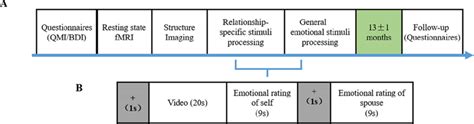 Experimental Protocols A And Schematic Representation Of The Task B