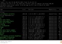 How To Install Docker On Amazon Linux Linux Shout