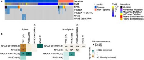 Location Specific Mutation And Mutually Exclusive Mutations In Canine