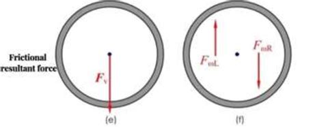force analysis of curling rotation torque vs angular momentum