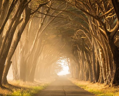 file path in alteryx why file path is so important in… by neal wang
