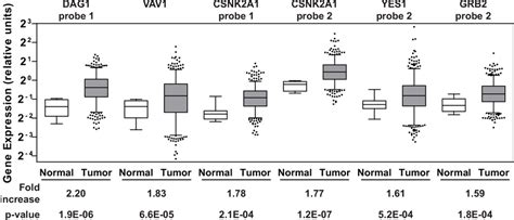 Gene Expression In Clinical Samples Agilent Gene Expression Data From Download Scientific