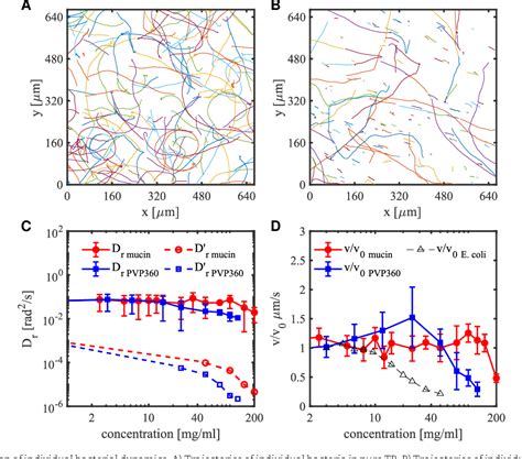 Figure 3 From Viscoelasticity Enhances Collective Motion Of Bacteria