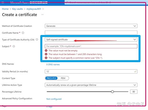 【azure 环境】azure Key Vault 采用自签名证书，是否需要ca Provider 知乎