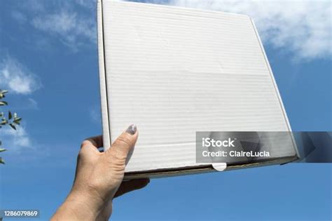여자의 손은 푸른 하늘 배경 템플릿 모형에 텍스트 공간과 공간의 사본흰색 골판지 상자를 보유하고 거리에 대한 스톡 사진 및 기타 이미지 Istock