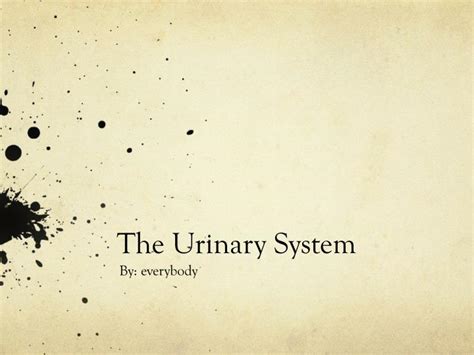 PPT The Urinary System PowerPoint Presentation Free Download ID