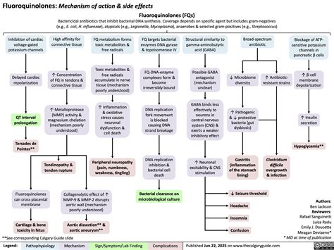 Fluoroquinolones Calgary Guide