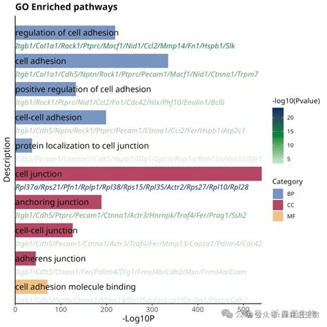 单细胞高分图片复现（独家代码附上）之系列（四）： 高分主fig 富集分析基因条形图 知乎