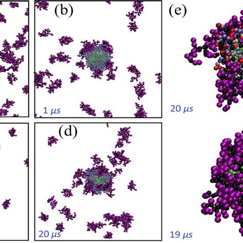 A Snapshot Of The Initial Landing Of An Ovi Peptide On The Zwitterionic