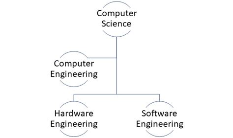 Software Engineering Vs Computer Science The Dilemma For Enthusiastic Undergraduate Babes