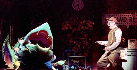 Audrey Ii The Evolution Of The Little Shop Of Horrors Plant