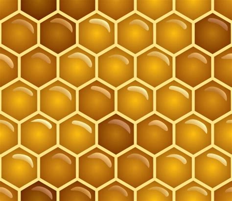 Seamless Honeycomb Pattern Royalty Free Vector Image