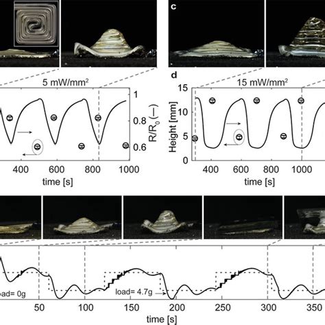 innervated lce fibers a schematic illustration of core shell 3d