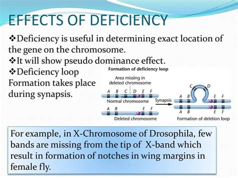 Structural Chromosomal Aberration Pptx